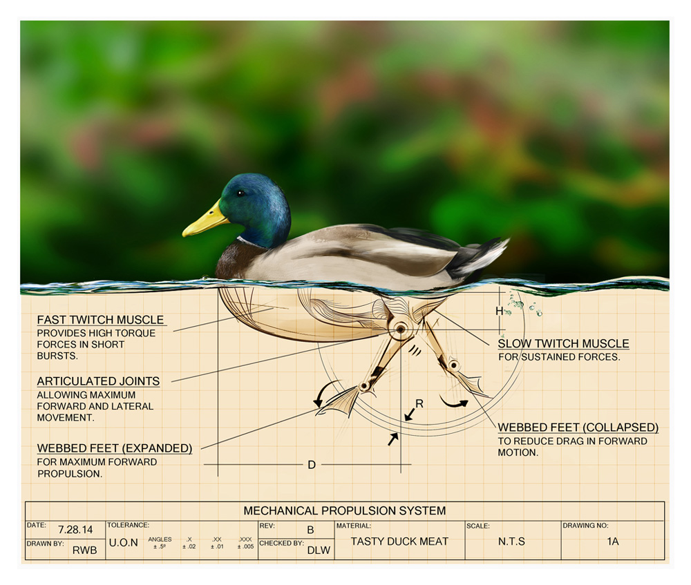 Equipment Screens | RoofScreen